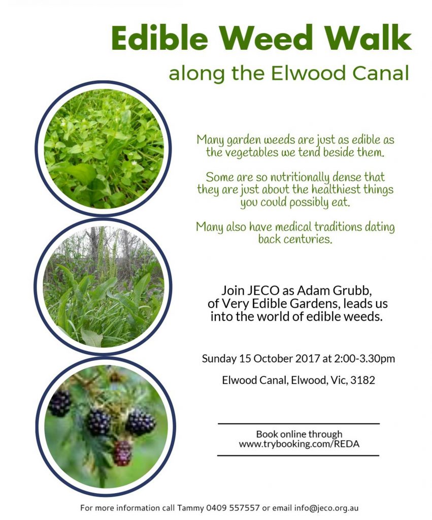 edible weed walk flyer - JECO